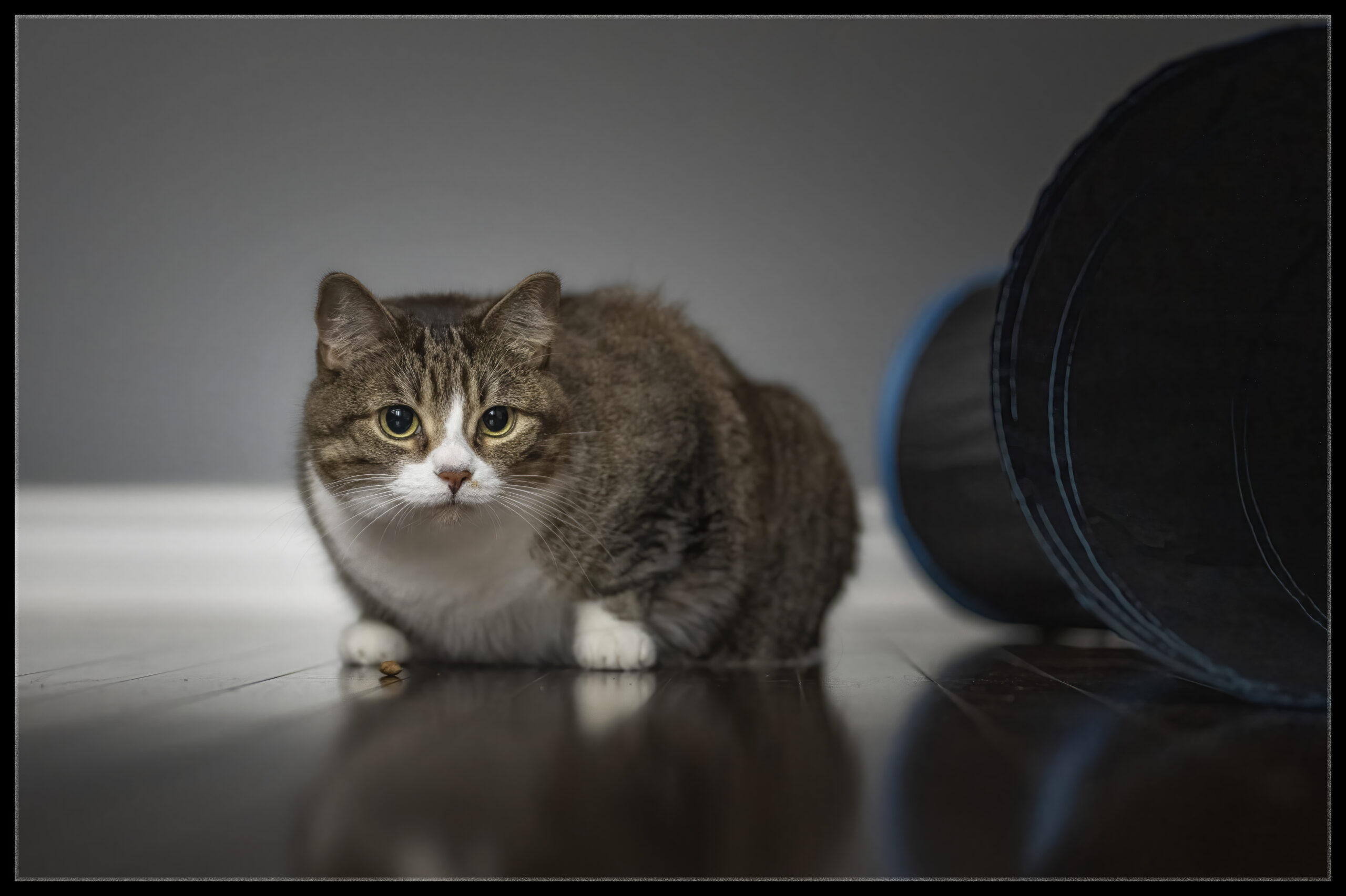 Services and Pricing - Dennis Jackson