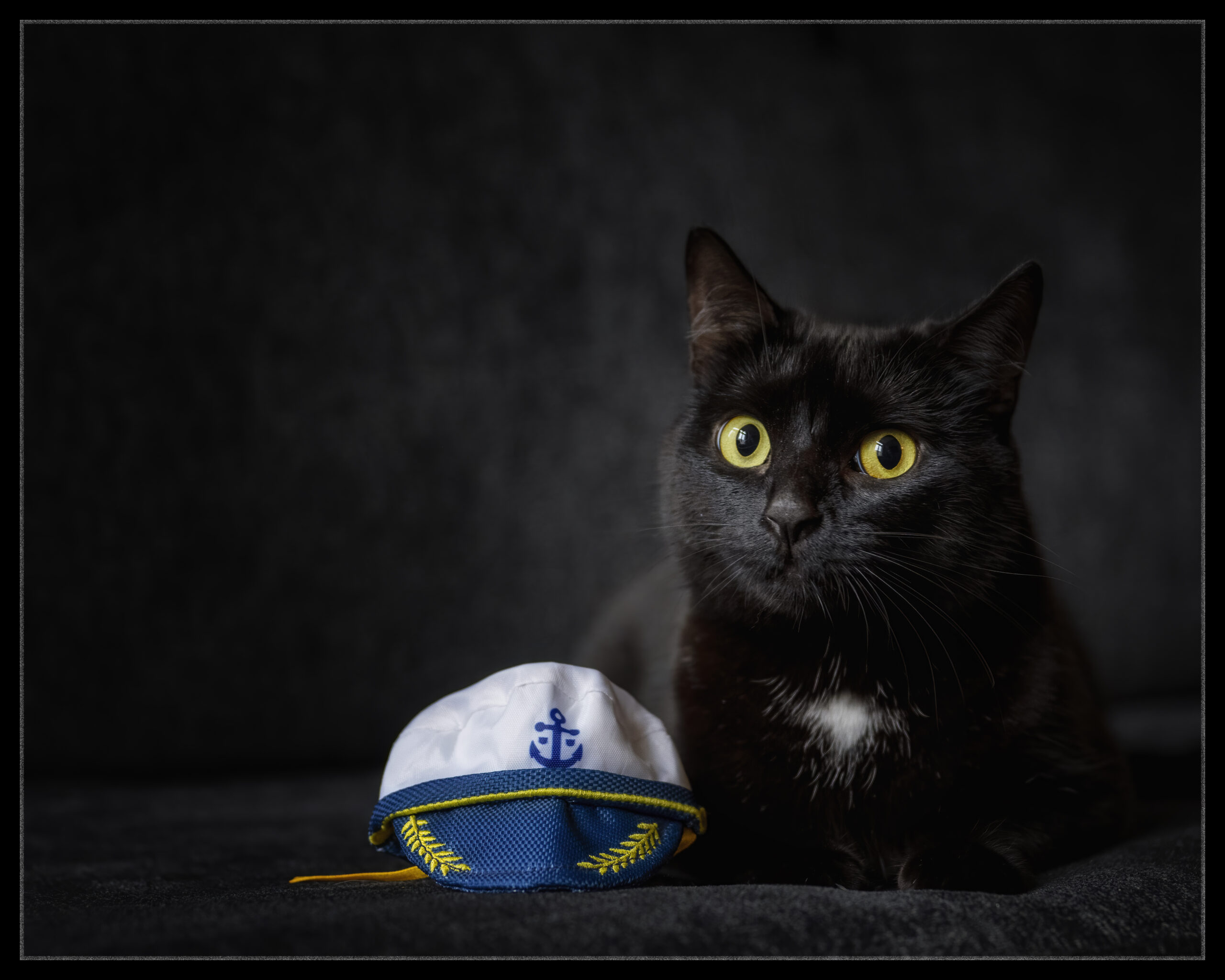 Services - Dennis Jackson